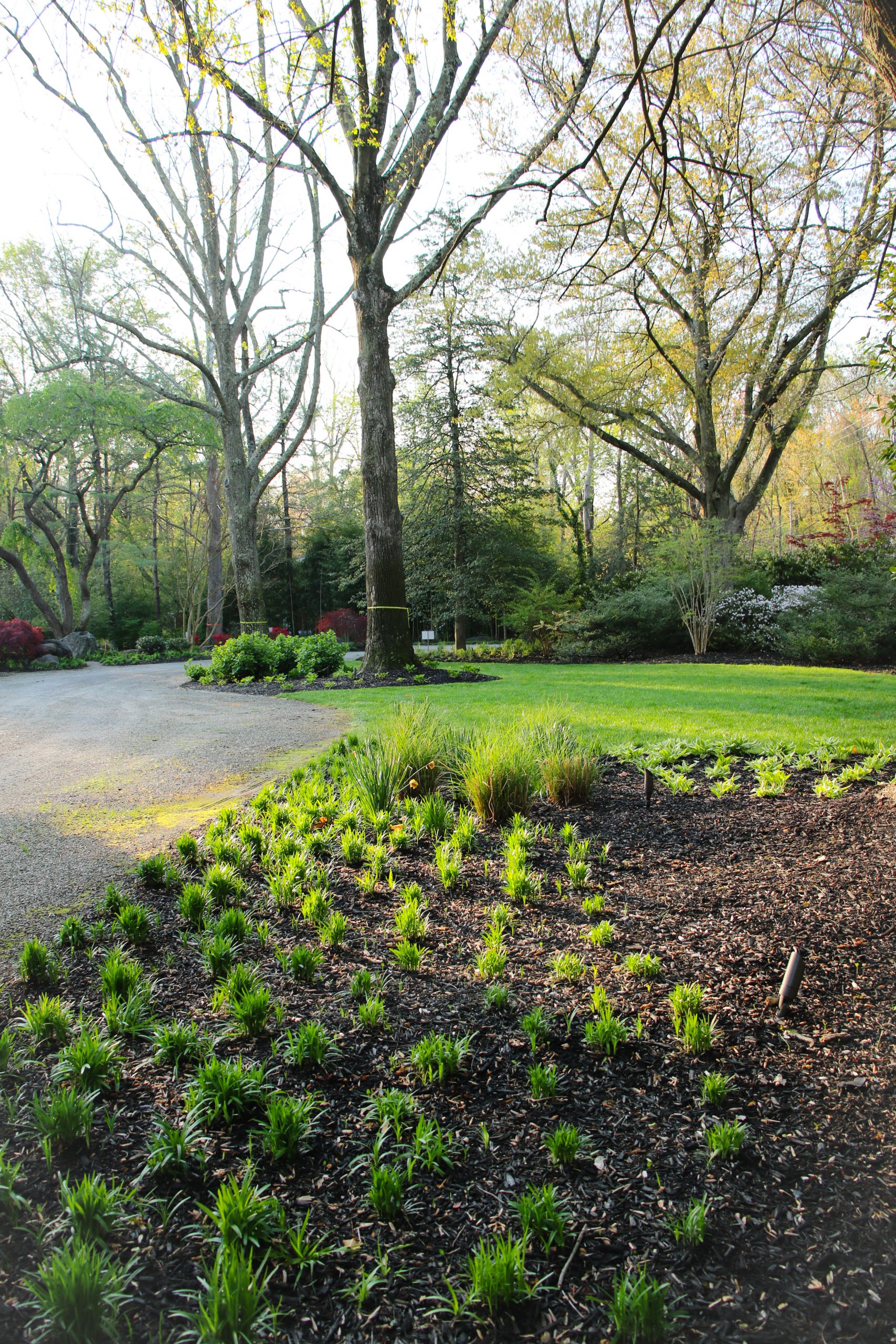 Gallery | Bay Ridge Lawn and Landscape